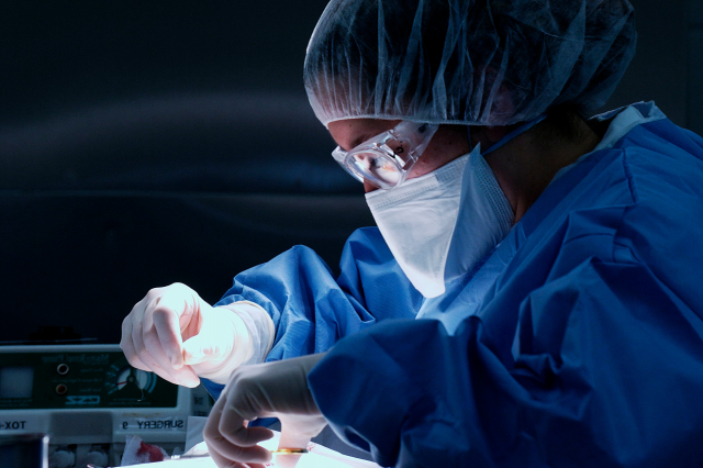 René Remie Rodent Surgery Training Course | Charles River