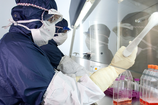 Cell Line Validation in Biomanufacturing | Charles River