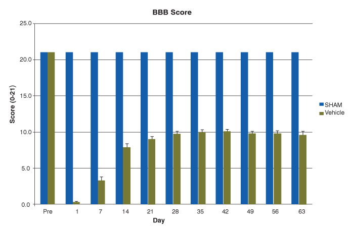 Spinal Cord Injury Models | Charles River