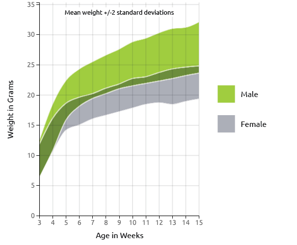 C57BL/6 Mice | Charles River