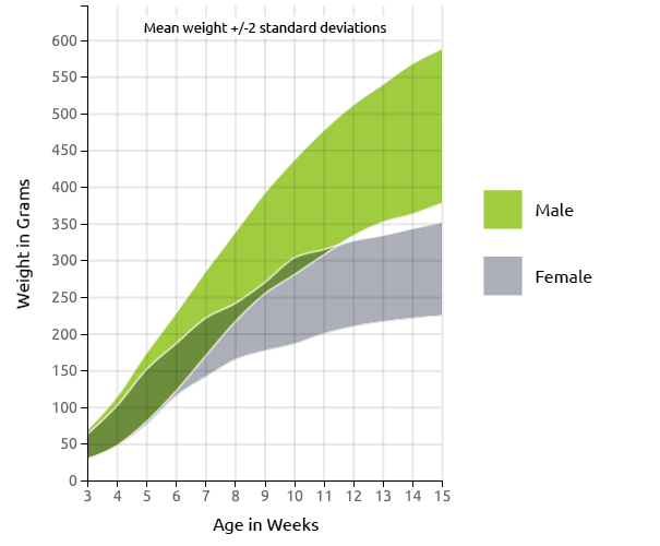Sprague Dawley Rats | Charles River