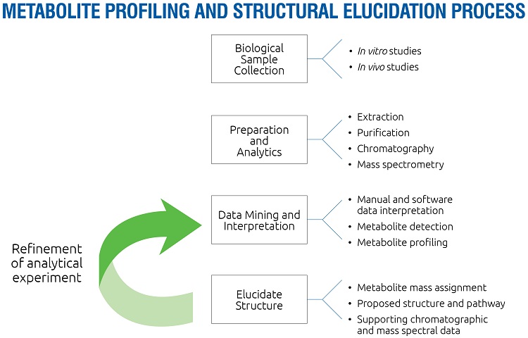 Metabolite Profiling & Structural Elucidation | Charles River