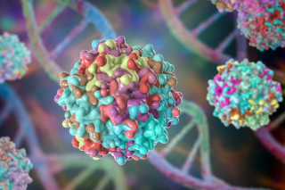 PathogenBinder® Kit | Charles River