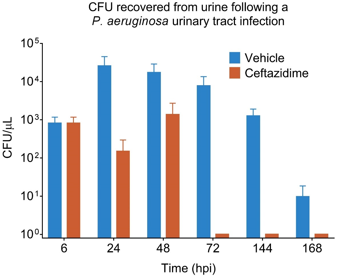 Urinary Tract Infection Graph Scientific Publishing The Urinary System