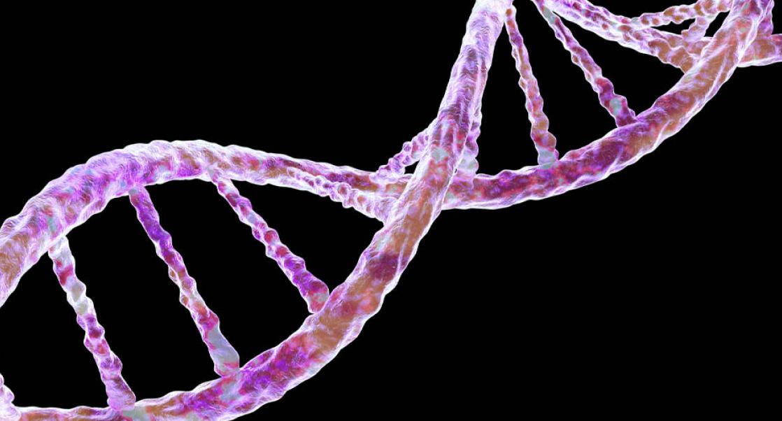 E77: Ophirex: Biting Back | Charles River