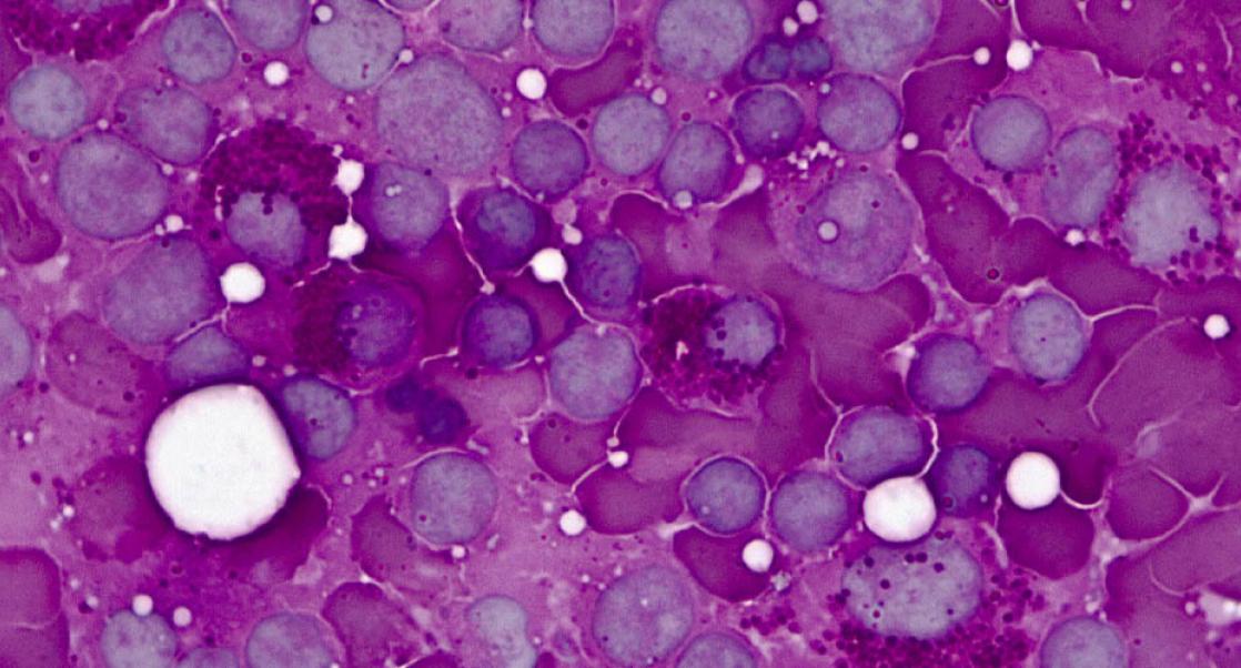 Avian Flu in 2022 (Podcast) | Eureka blog